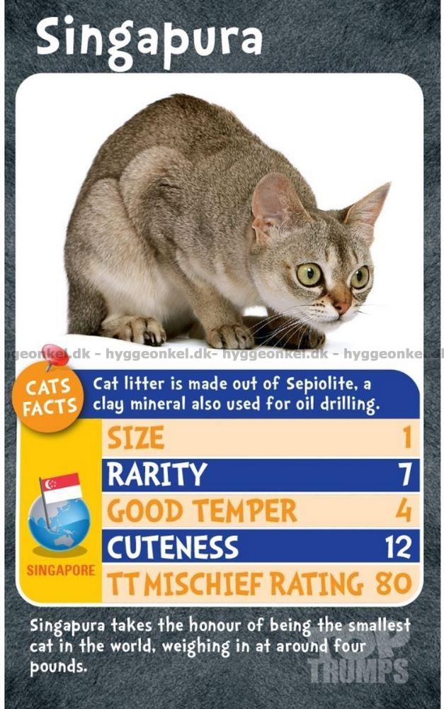 Köp Top Trumps: Cats kortspel! Blixtsnabb leverans - 5036905023696 ...